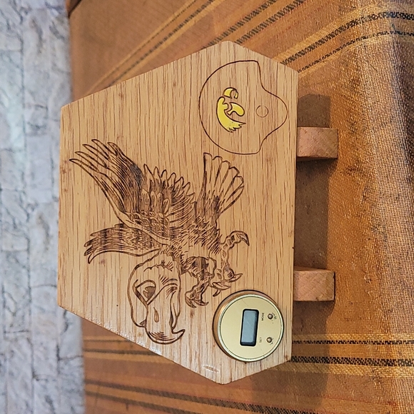 Source Unknown | Accents | Vintage Iowa Hawkeye Herky Helmet Wood ...